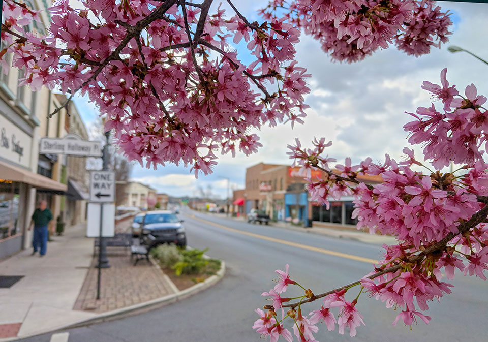 About Us - Polk County Georgia